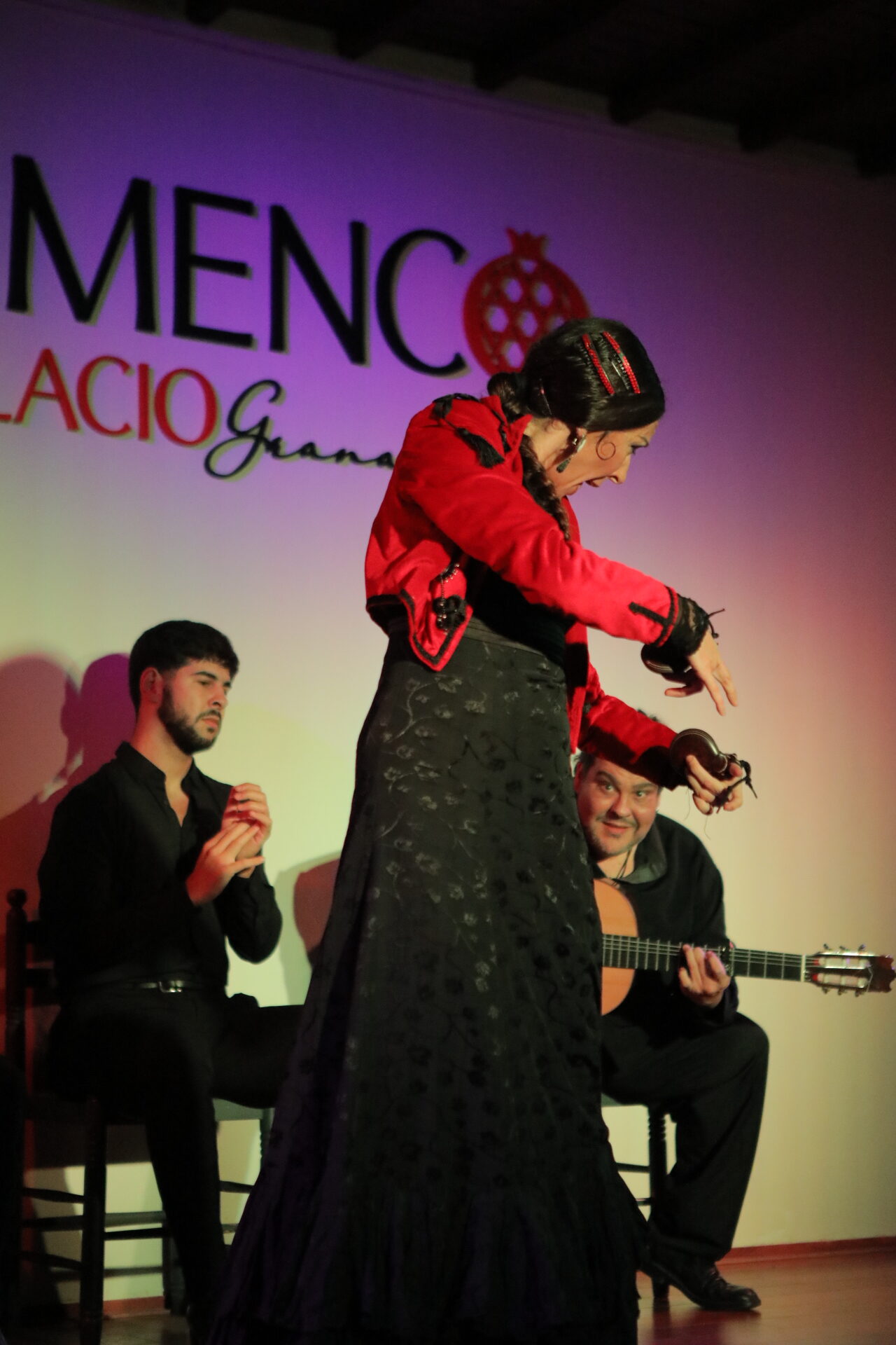 What instruments are the most used in flamenco? – Palacio Flamenco en ...